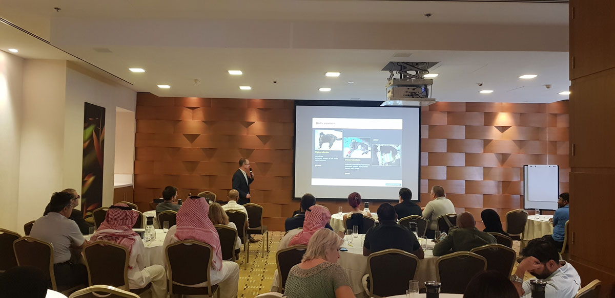 MRI Neurology Seminar - Neurology in Everyday Practice - Medical Plus